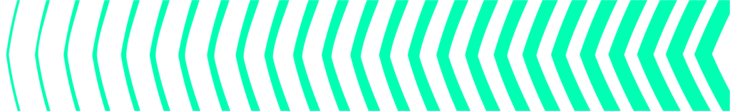 Arro Jet boating | Gold Coast’s best Jet Boat experience